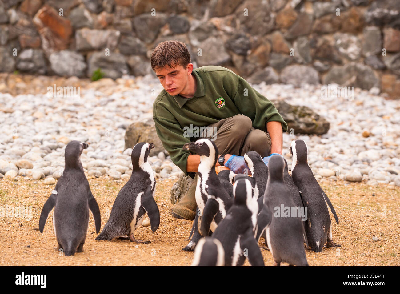 Zookeeper Feeding Animals