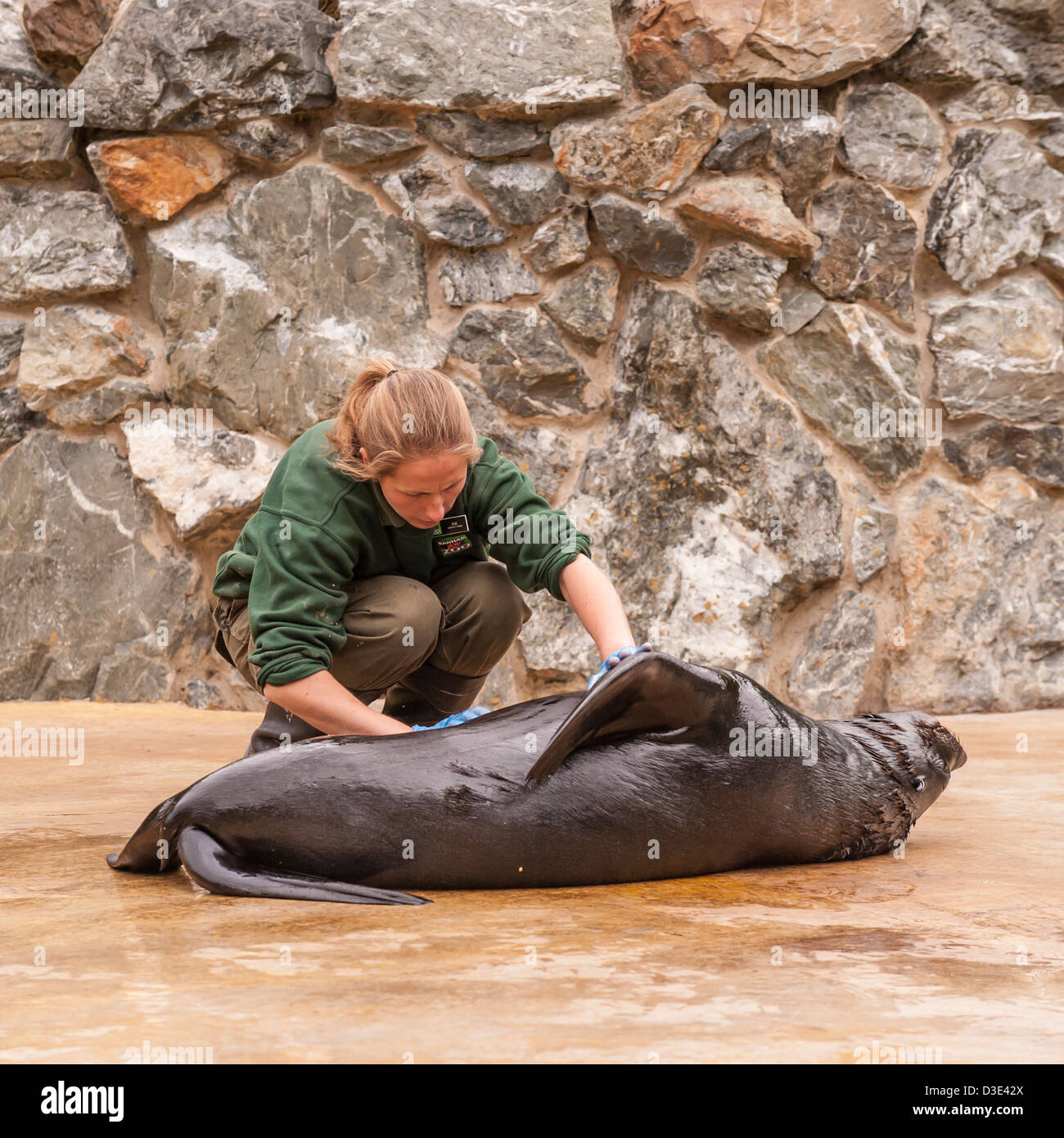 Zoo keeper hi-res stock photography and images - Alamy