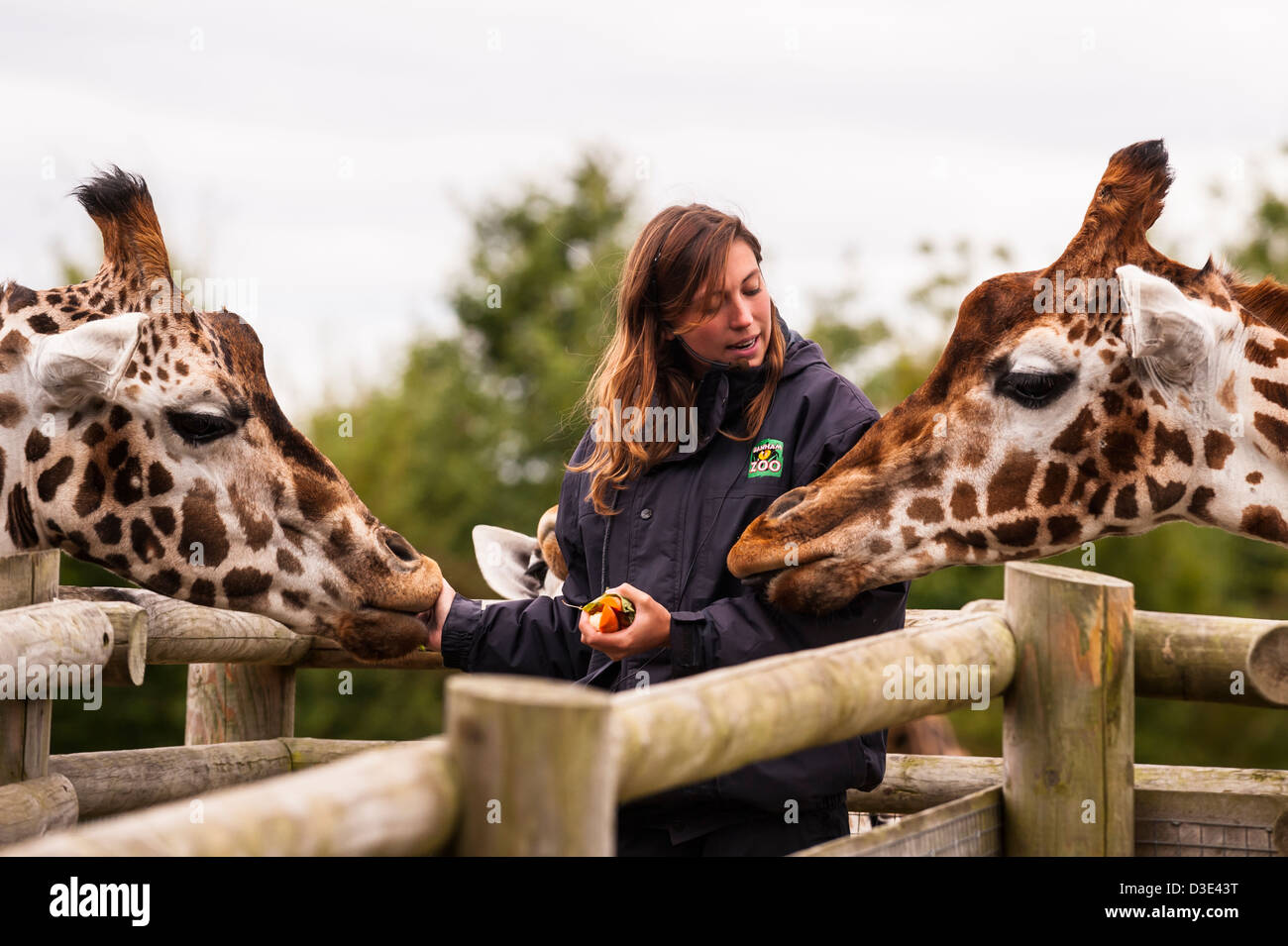 Female zoo keeper hi-res stock photography and images - Alamy