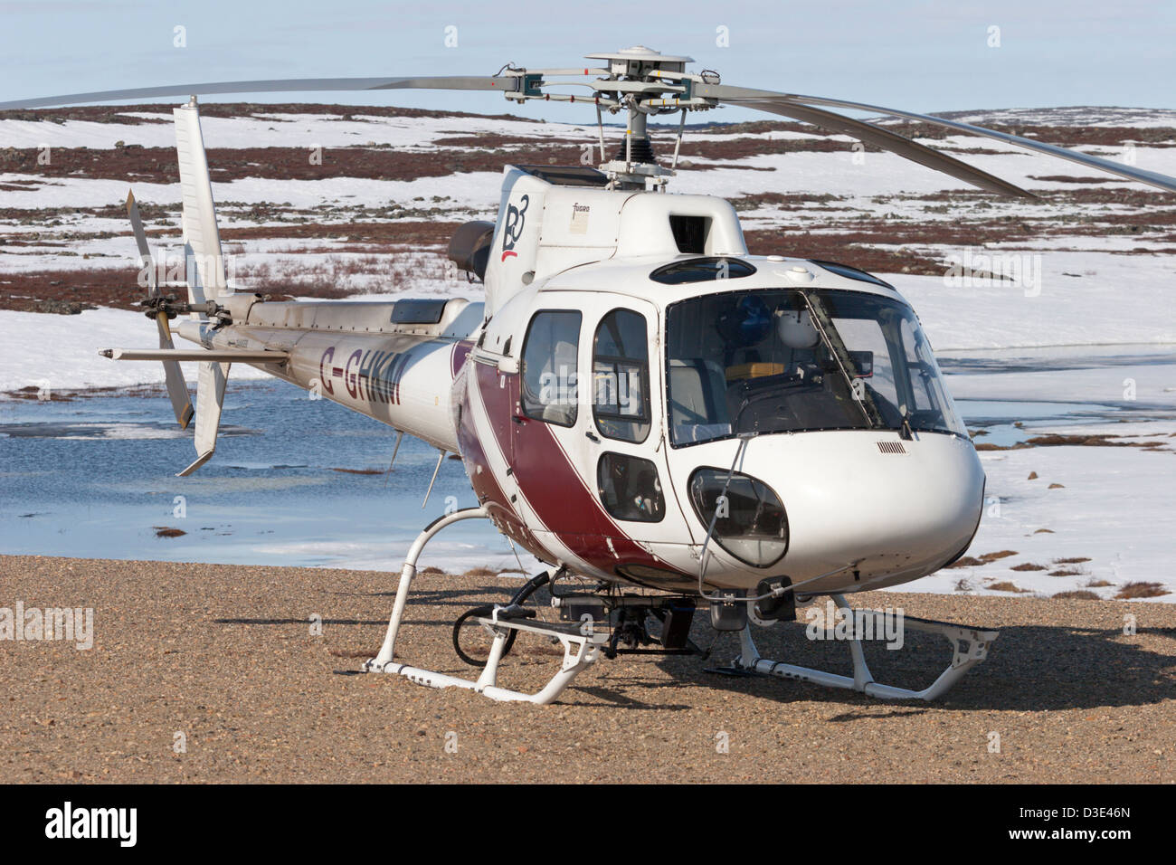 astar helicopter AS350B3 arctic spring tundra survey work Stock Photo ...
