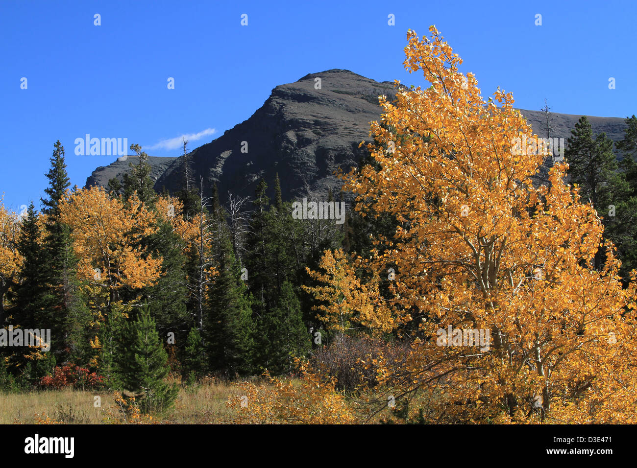 Appistoki Peak, located in the Two Medicine area of Glacier National ...