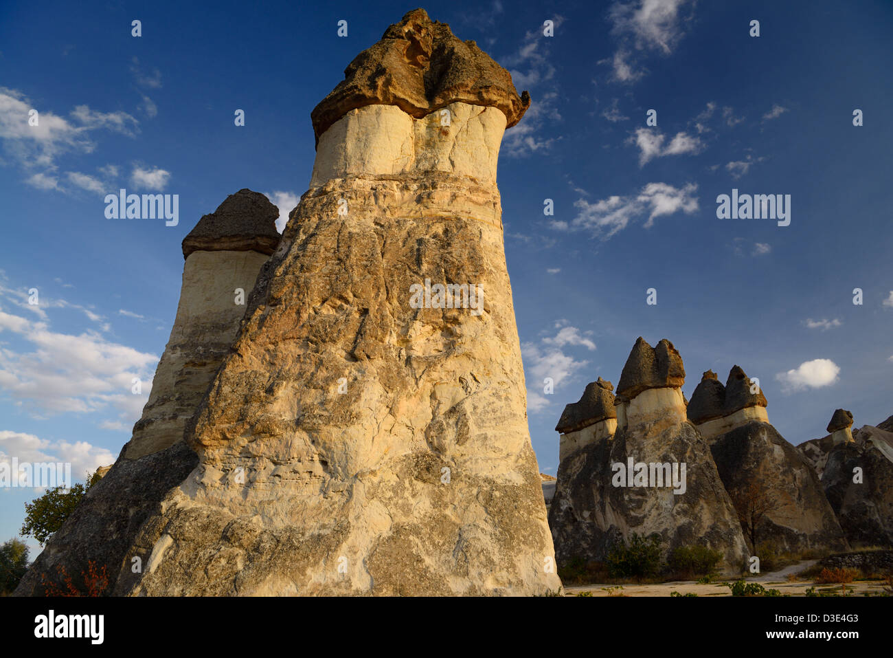 Phallic volcanic tuff fairy chimneys lit with golden light at sunset in ...