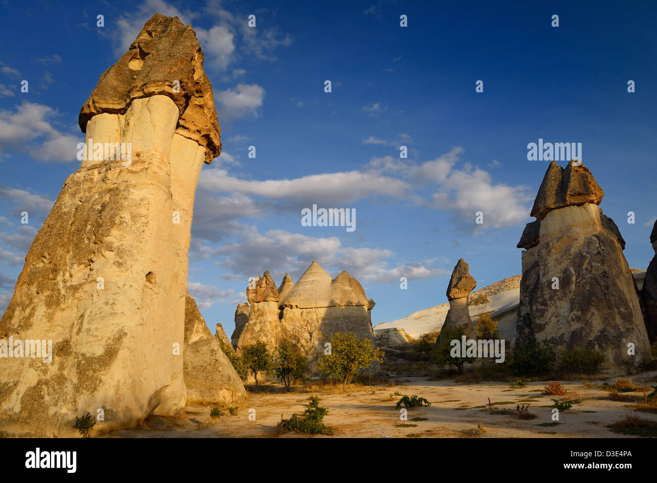 Phallic mushroom and rabbit head fairy chimneys in golden light at ...