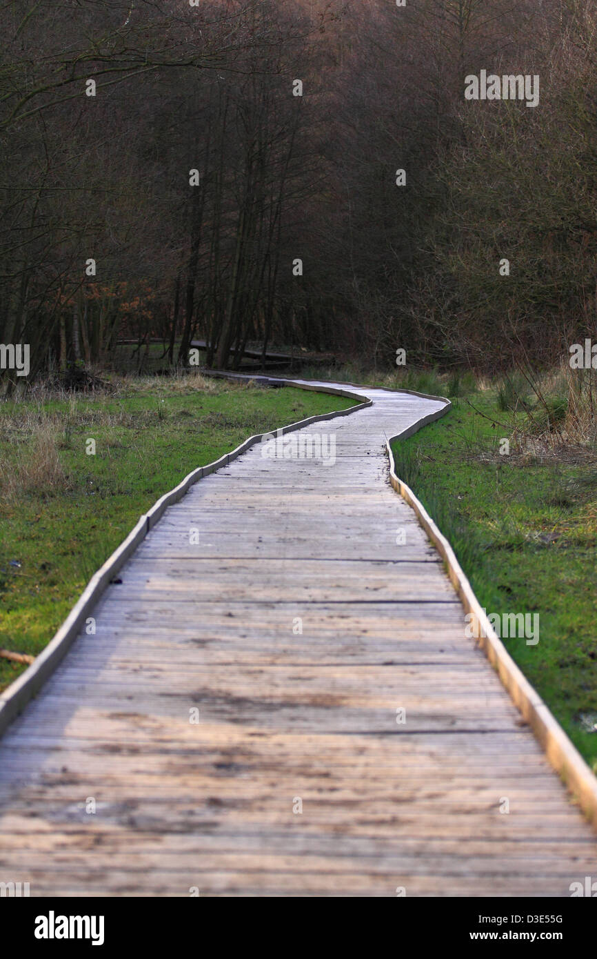 Wooden walk way leading to woods Stock Photo - Alamy