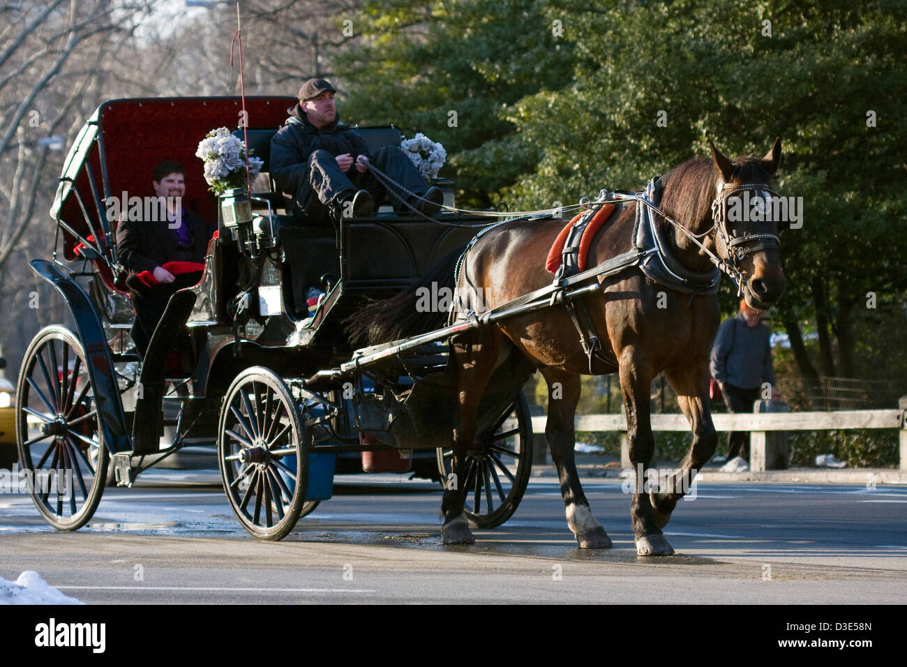 Handsome horse cab hi-res stock photography and images - Alamy