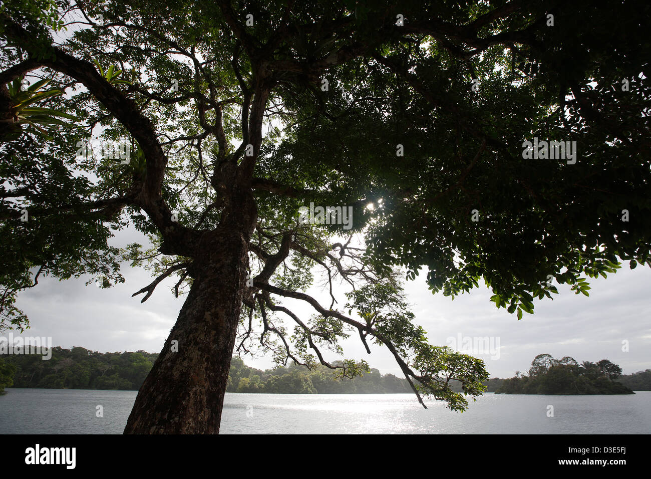 Lago gatun hi-res stock photography and images - Alamy