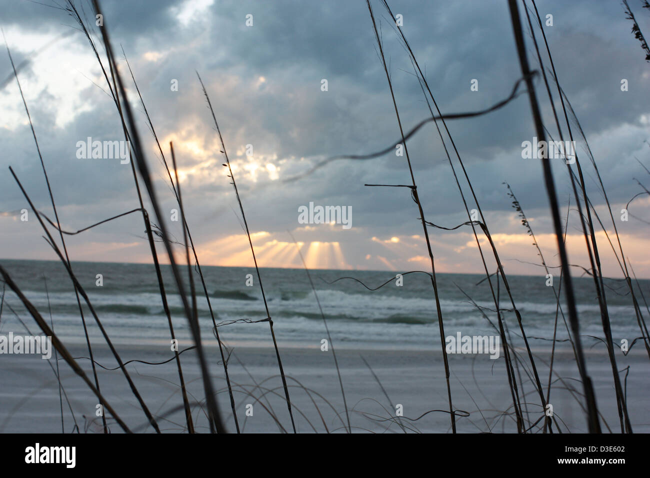 Florida sunset hi-res stock photography and images - Alamy
