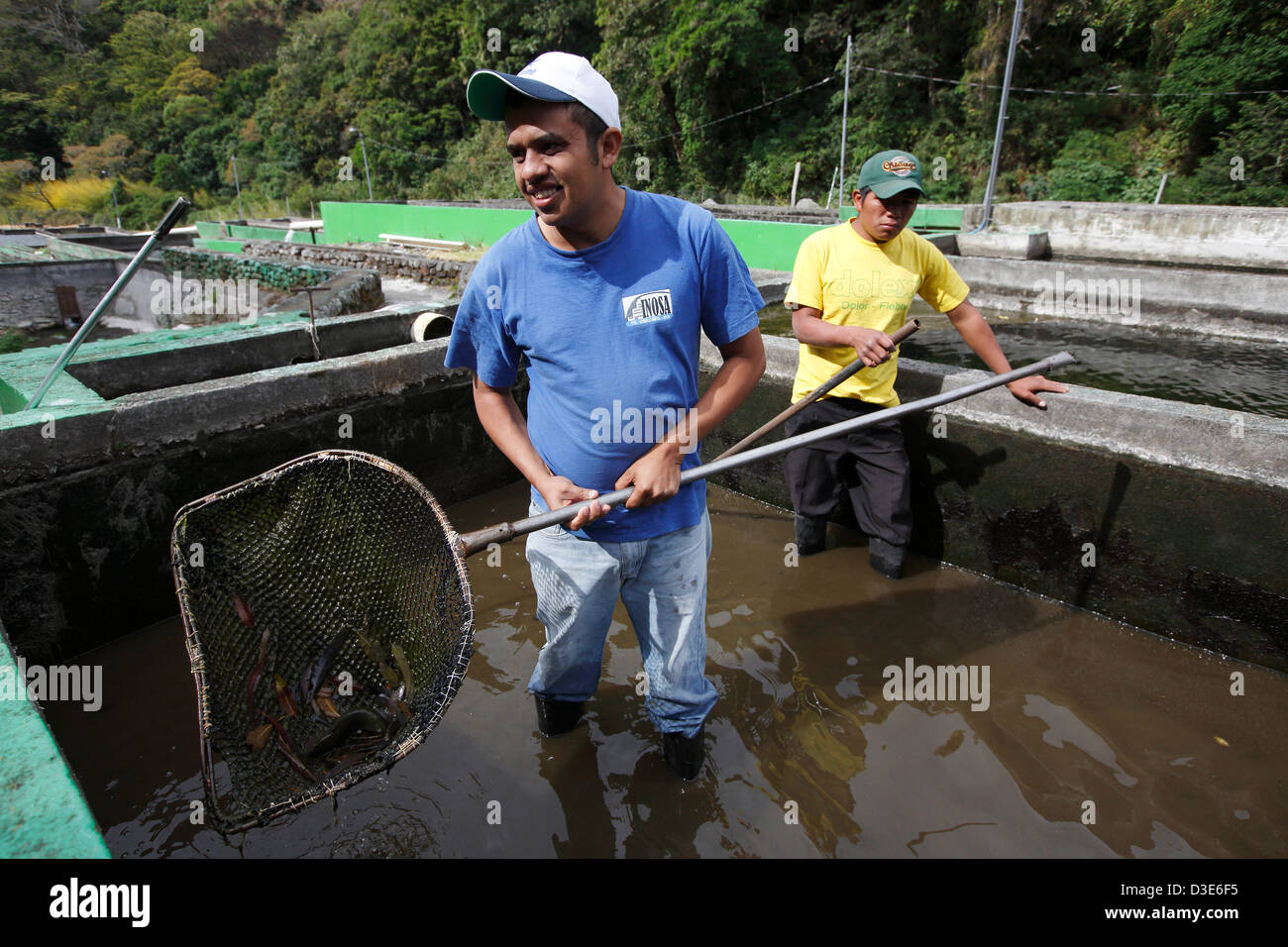 Aquaculture hatchery hi-res stock photography and images - Alamy