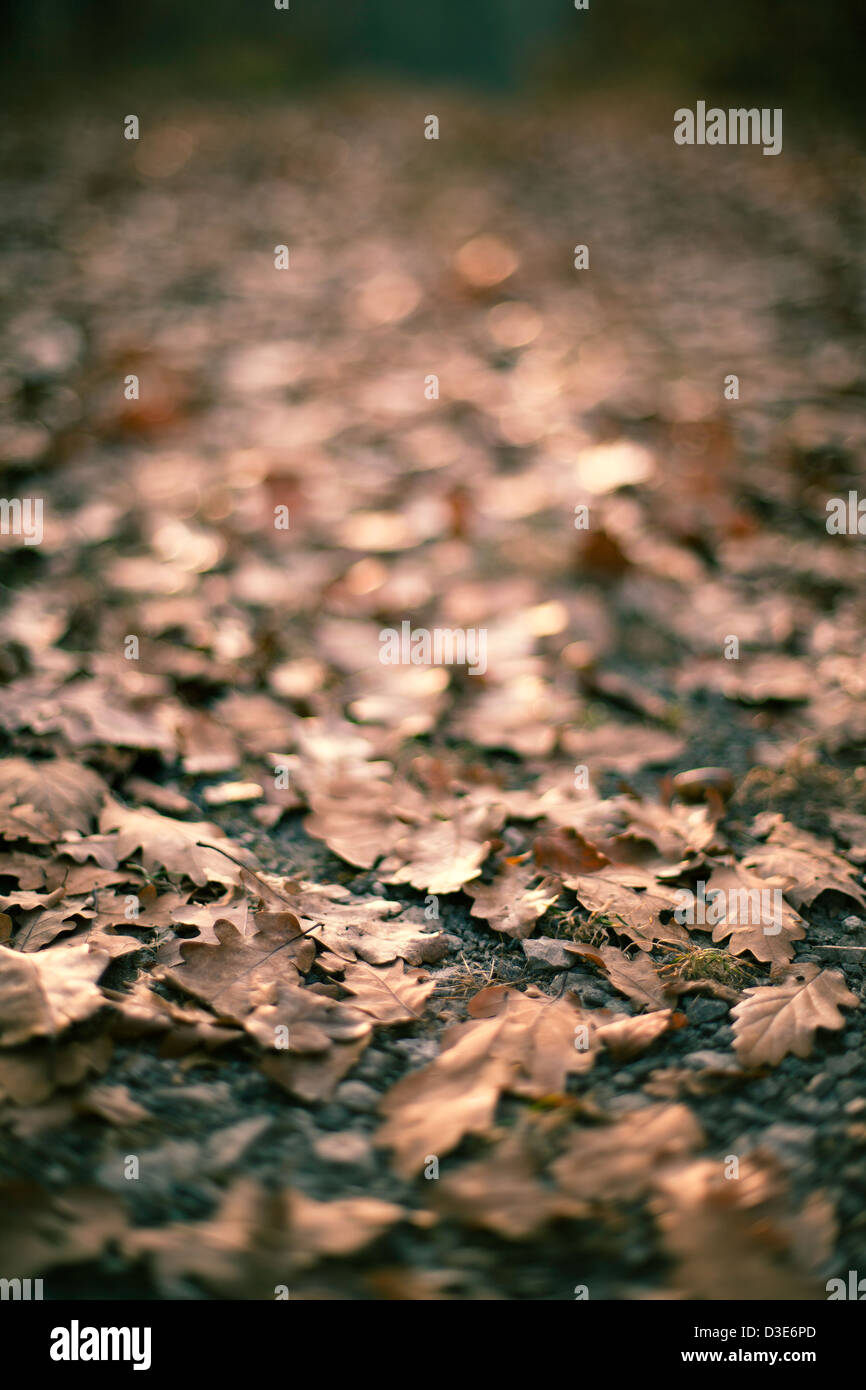 Poster on the ground hi-res stock photography and images - Alamy