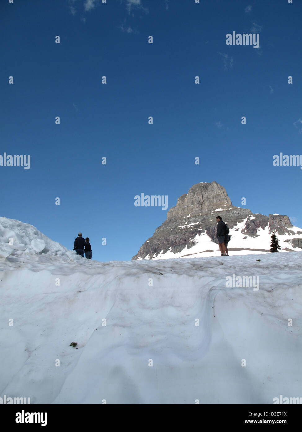 Clements Mountain, located at Logan Pass in Glacier National Park, is a ...