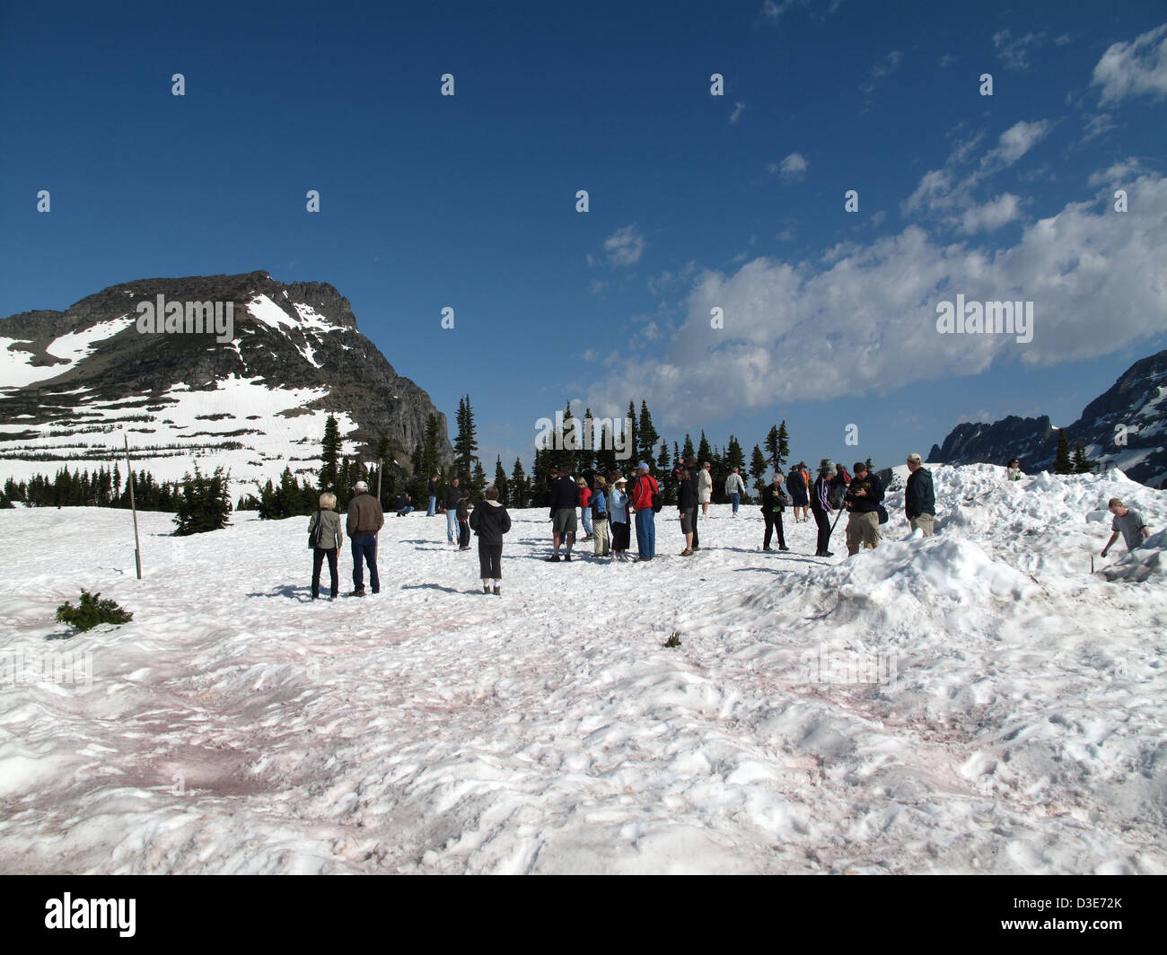 Logan Pass in Glacier National Park, known for its stunning alpine ...