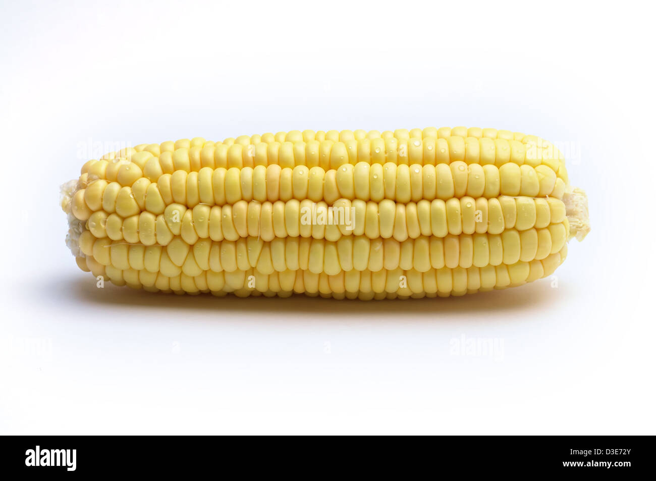 Corn in white background Stock Photo - Alamy