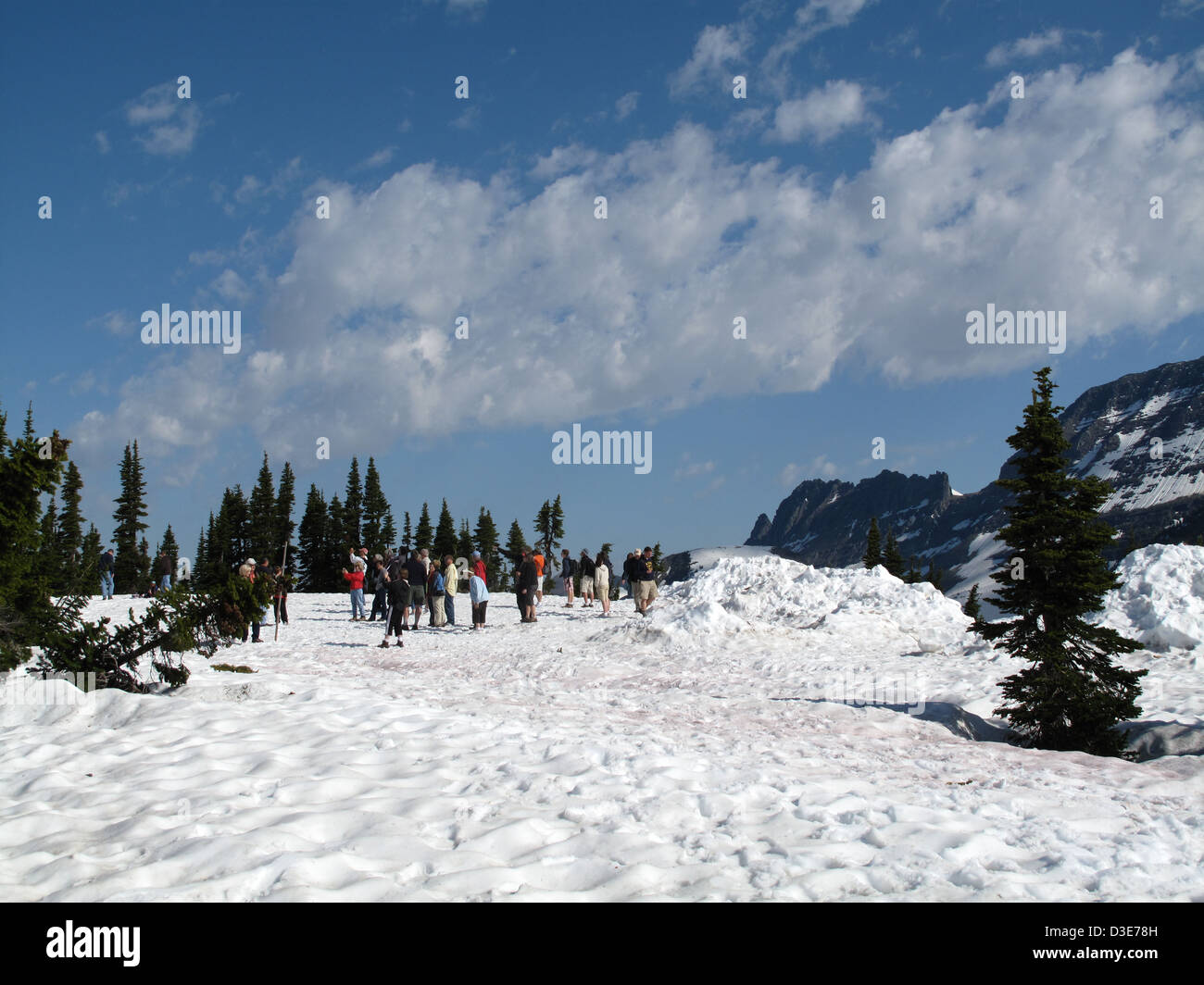 Logan Pass in Glacier National Park offers a high-altitude vantage ...