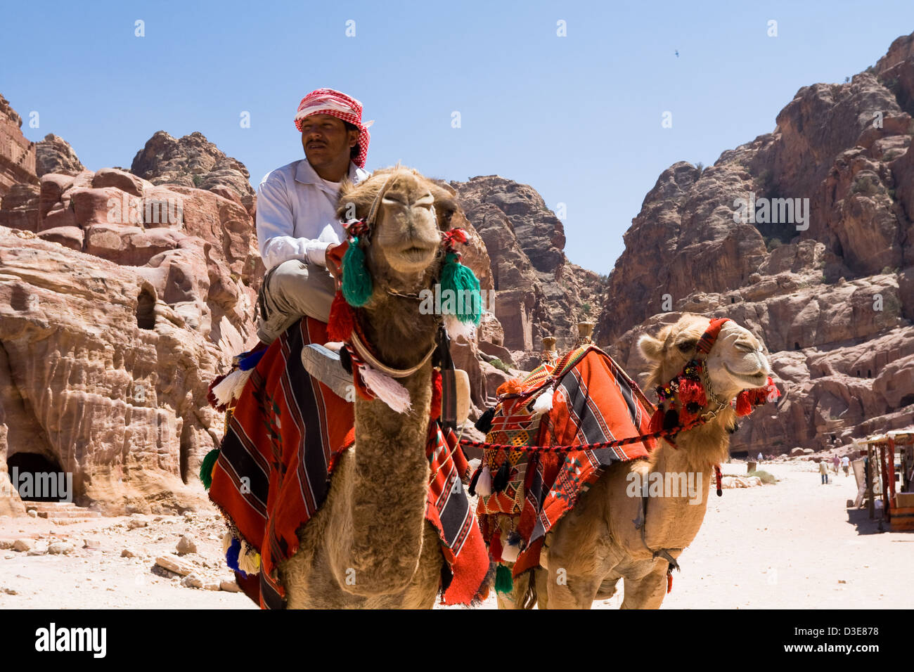 Beduin riding a camel among the ruins of Petra Stock Photo - Alamy