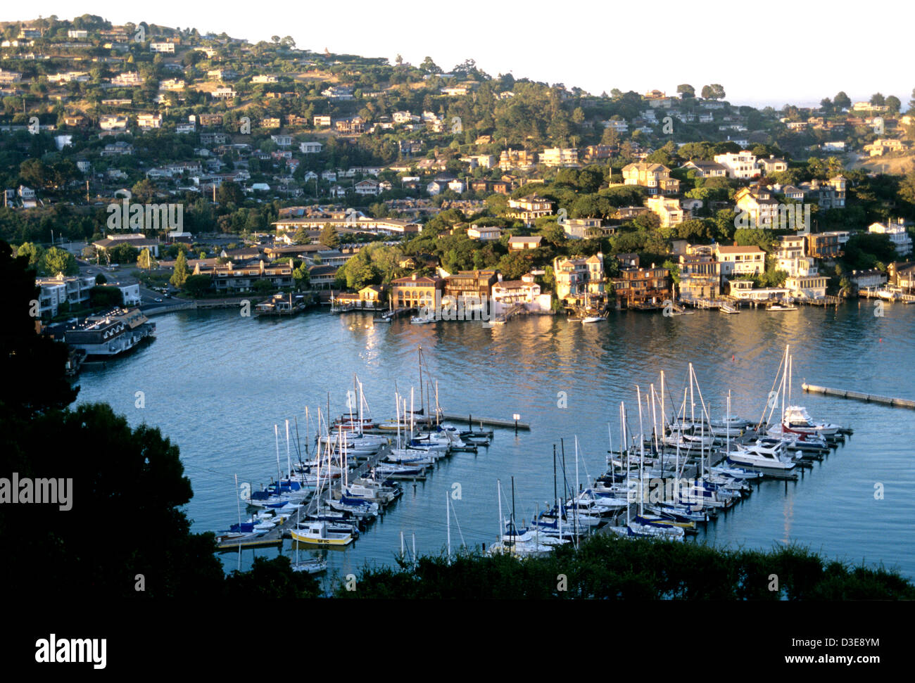 boats anchor near Belvedere Lagoon and town of tiburon Stock Photo - Alamy