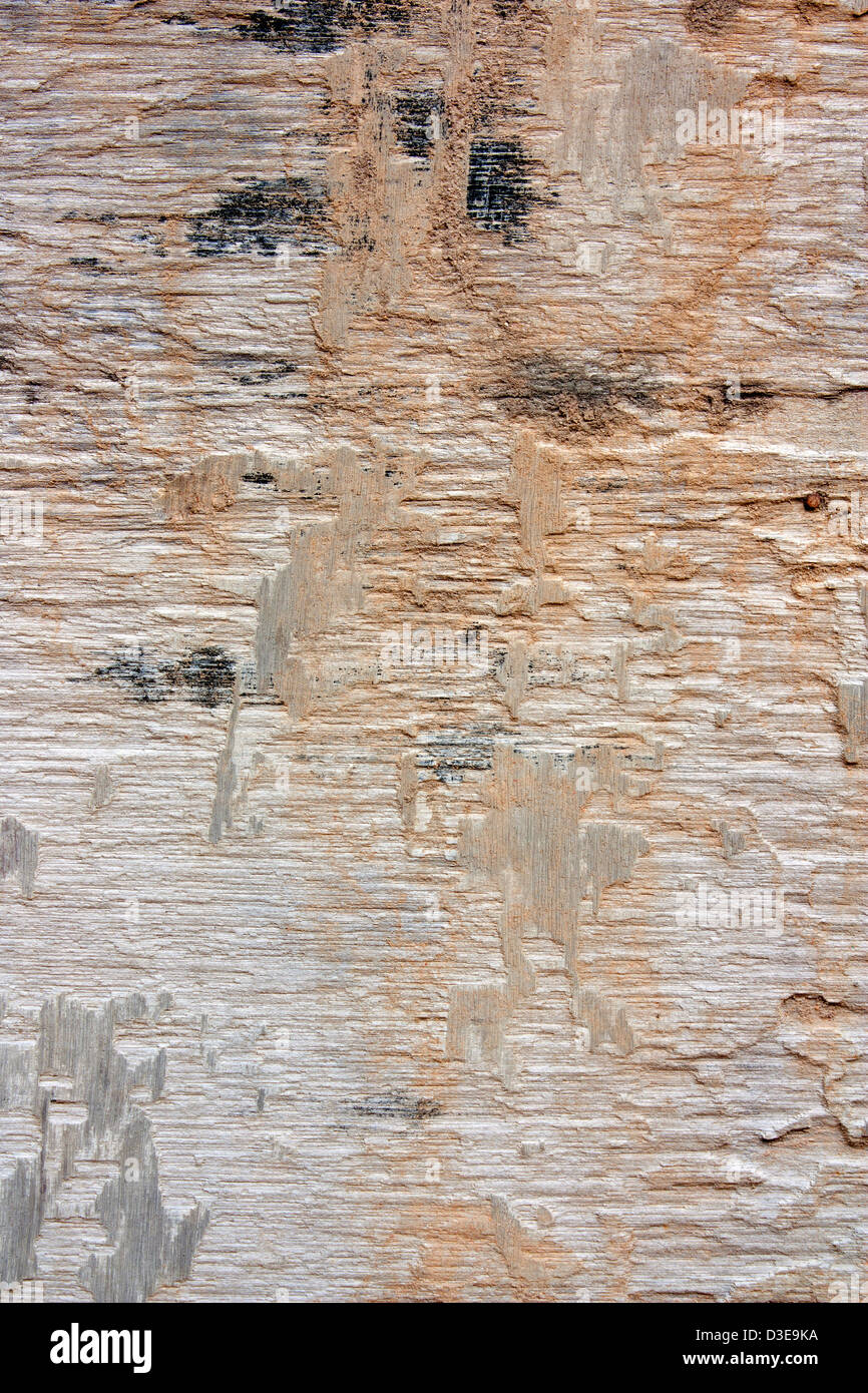 Decayed brown wood hi-res stock photography and images - Alamy