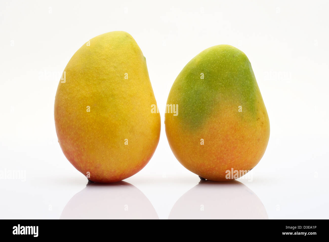 Two Mangos on white background Stock Photo - Alamy
