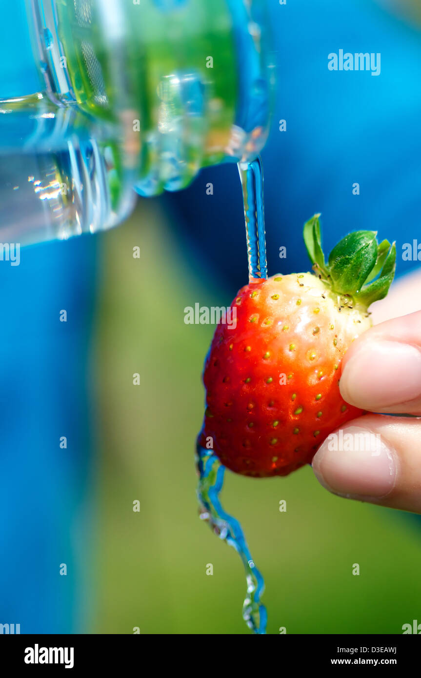Water flowing over fresh strawberry Stock Photo - Alamy