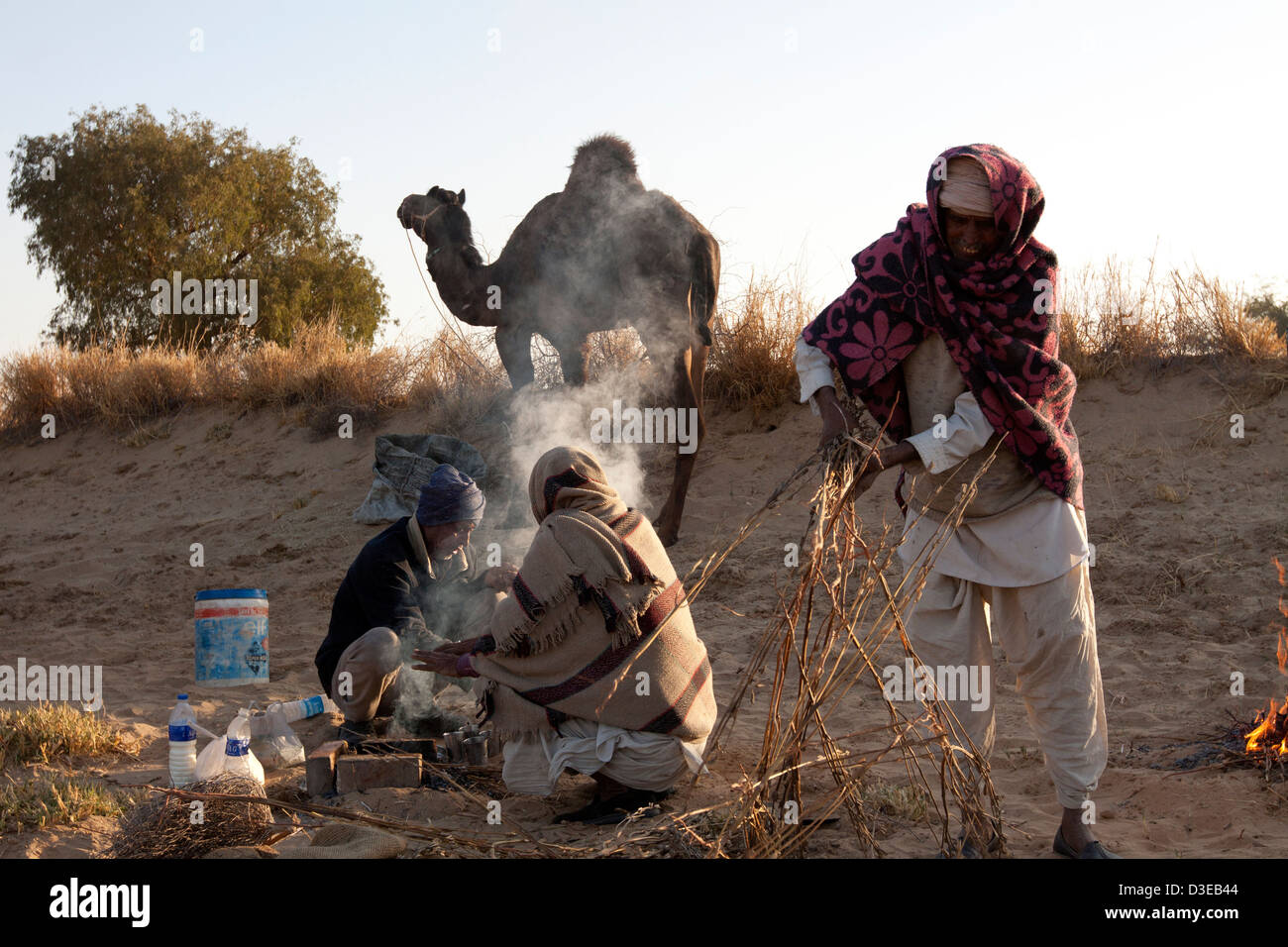 People making breakfast outdoors in the Thar Desert Stock Photo - Alamy
