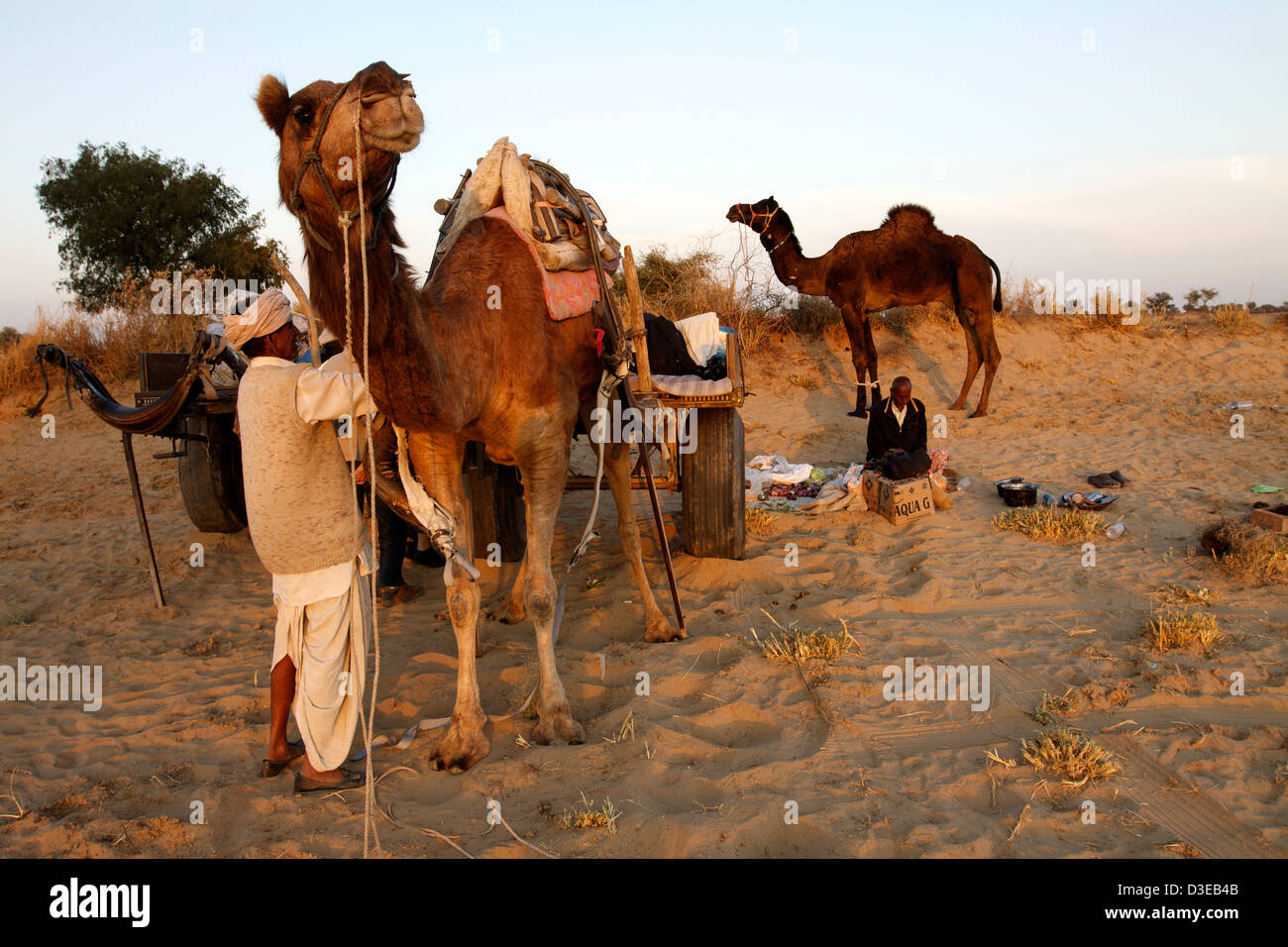 Thar Desert India Stock Photo - Alamy