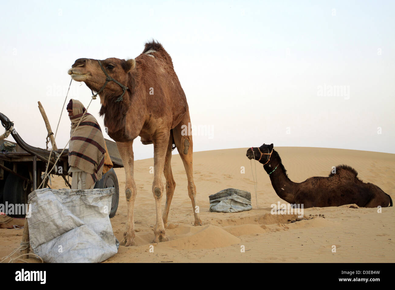 Thar Desert India Stock Photo - Alamy