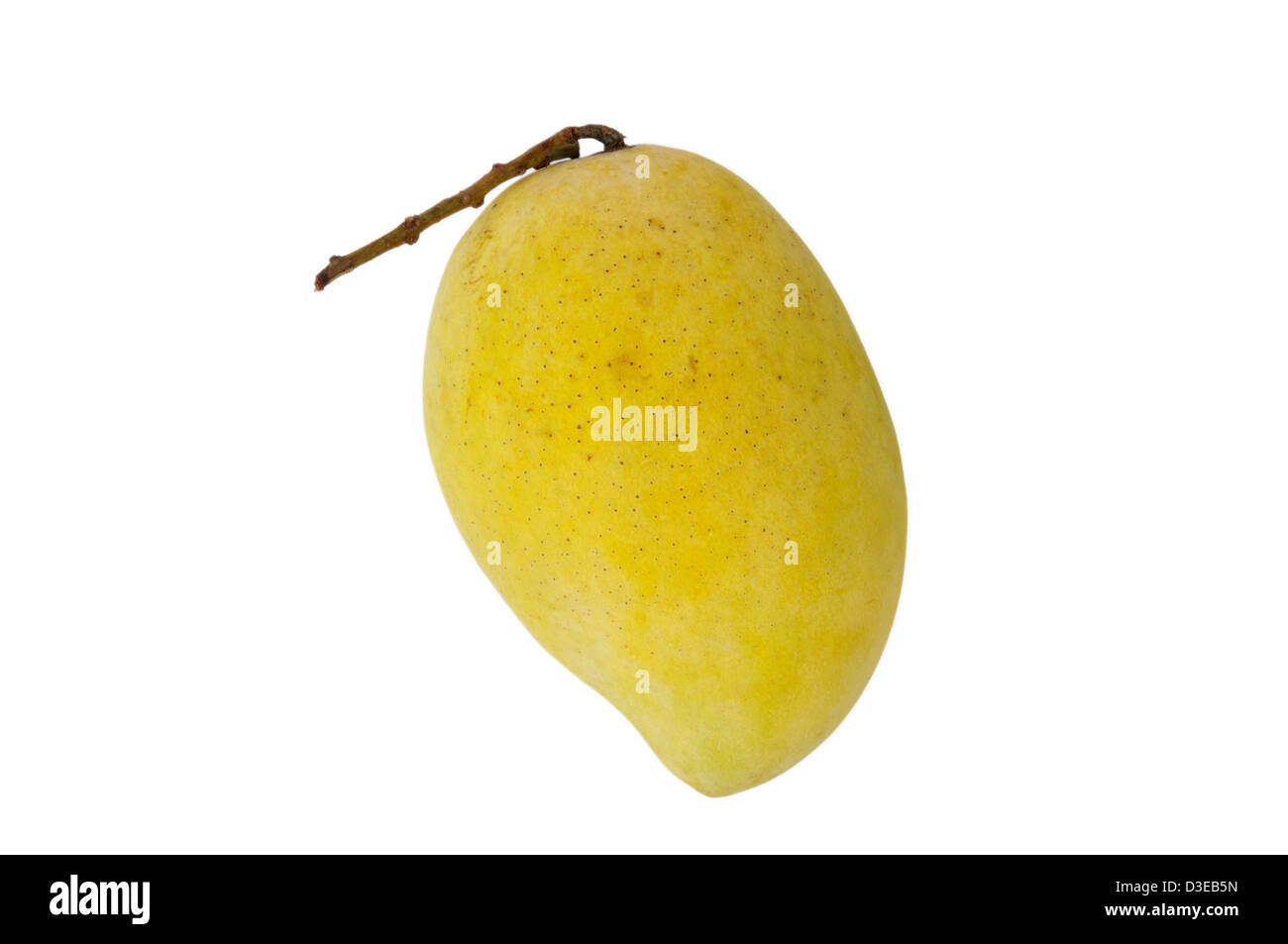 Yellow mango on white background, very delicious Stock Photo - Alamy