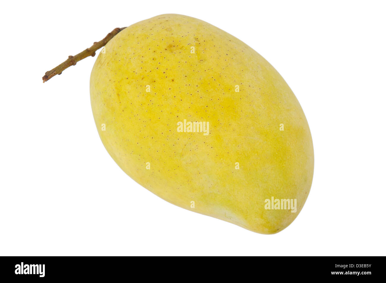 Yellow mango on white background, very delicious Stock Photo - Alamy