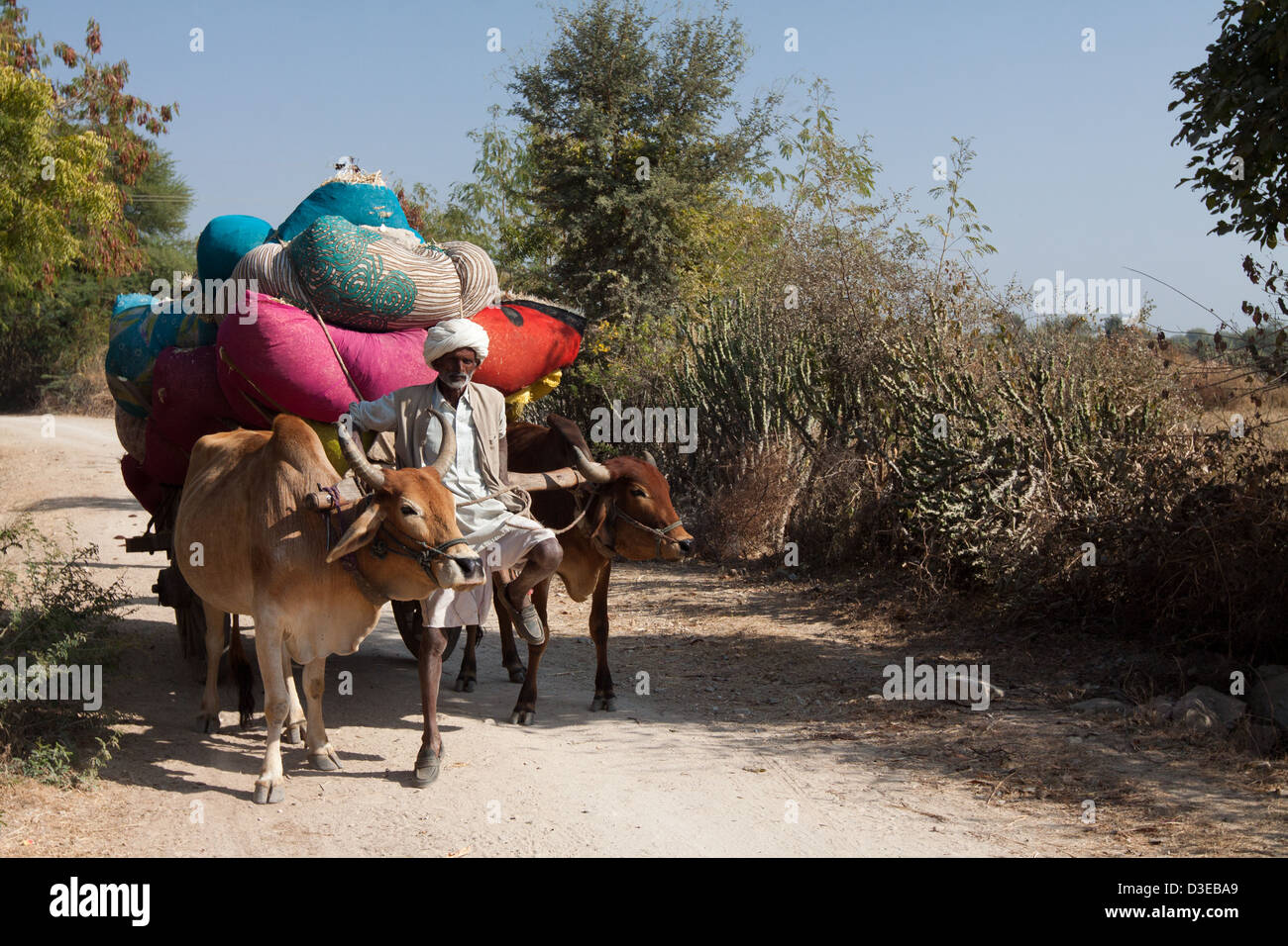 Traditional indian bullock cart hi-res stock photography and images - Alamy