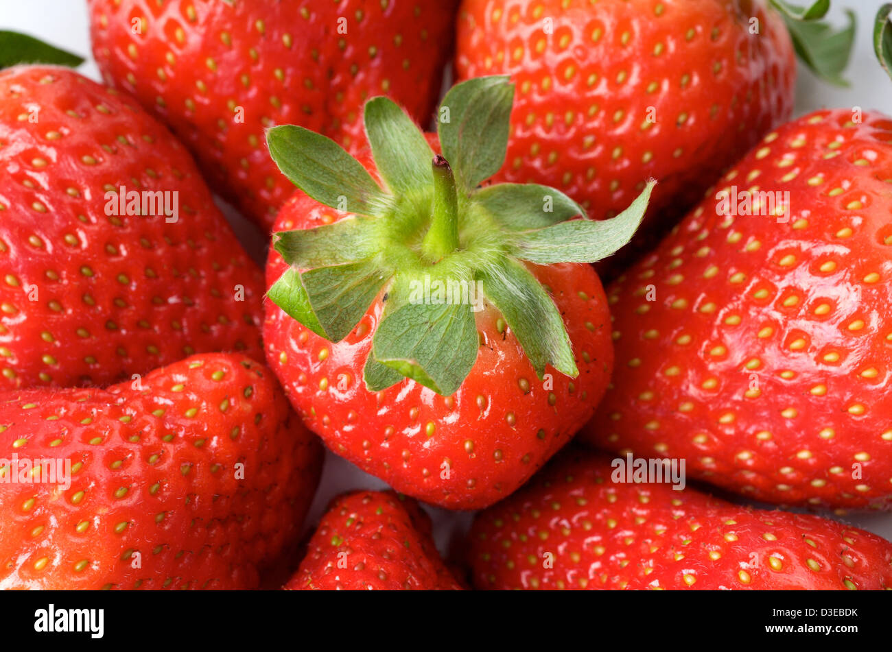 Strawberries close up in isolated white background Stock Photo - Alamy