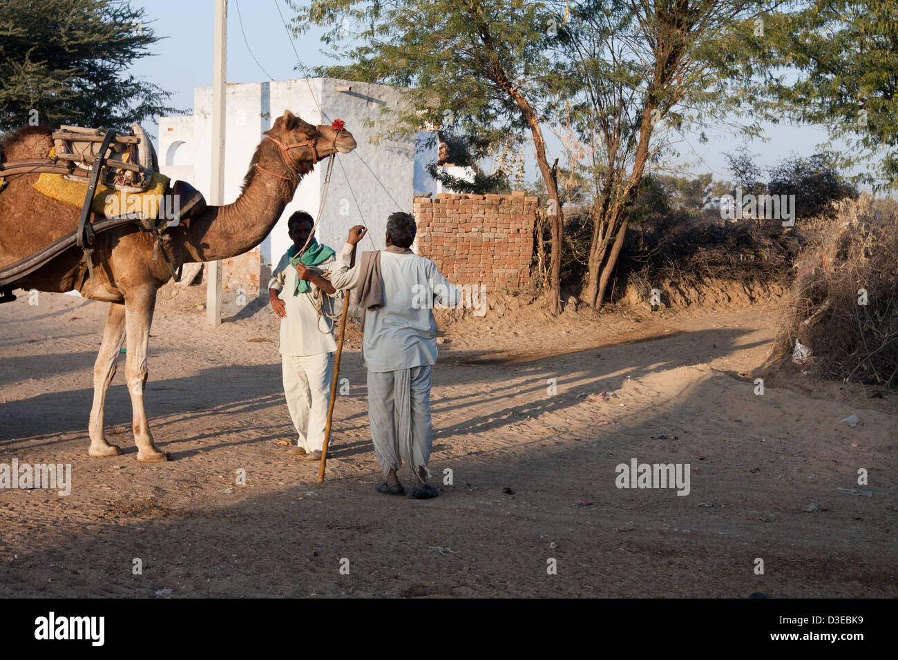 Thar desert village hi-res stock photography and images - Alamy