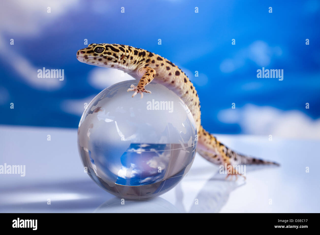 Gecko in globe Stock Photo - Alamy