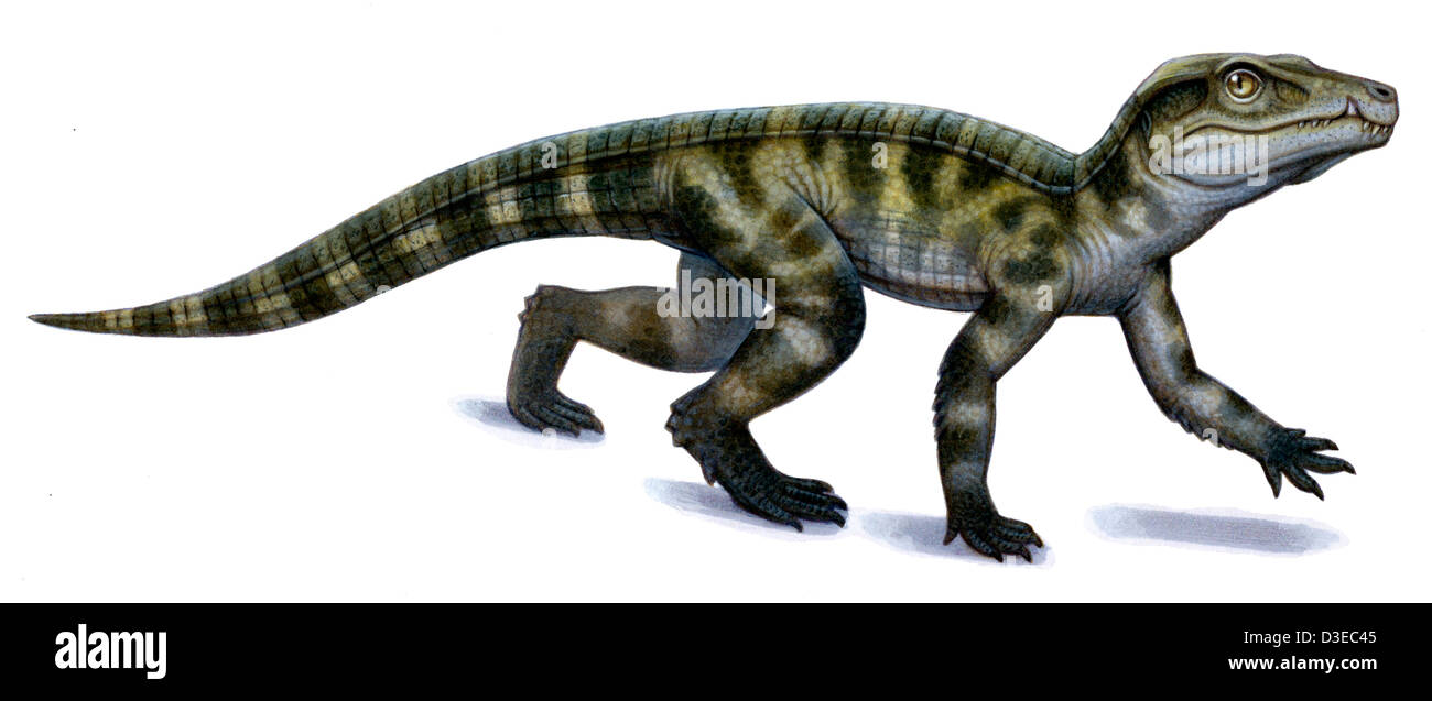 Archosaur High Resolution Stock Photography and Images - Alamy