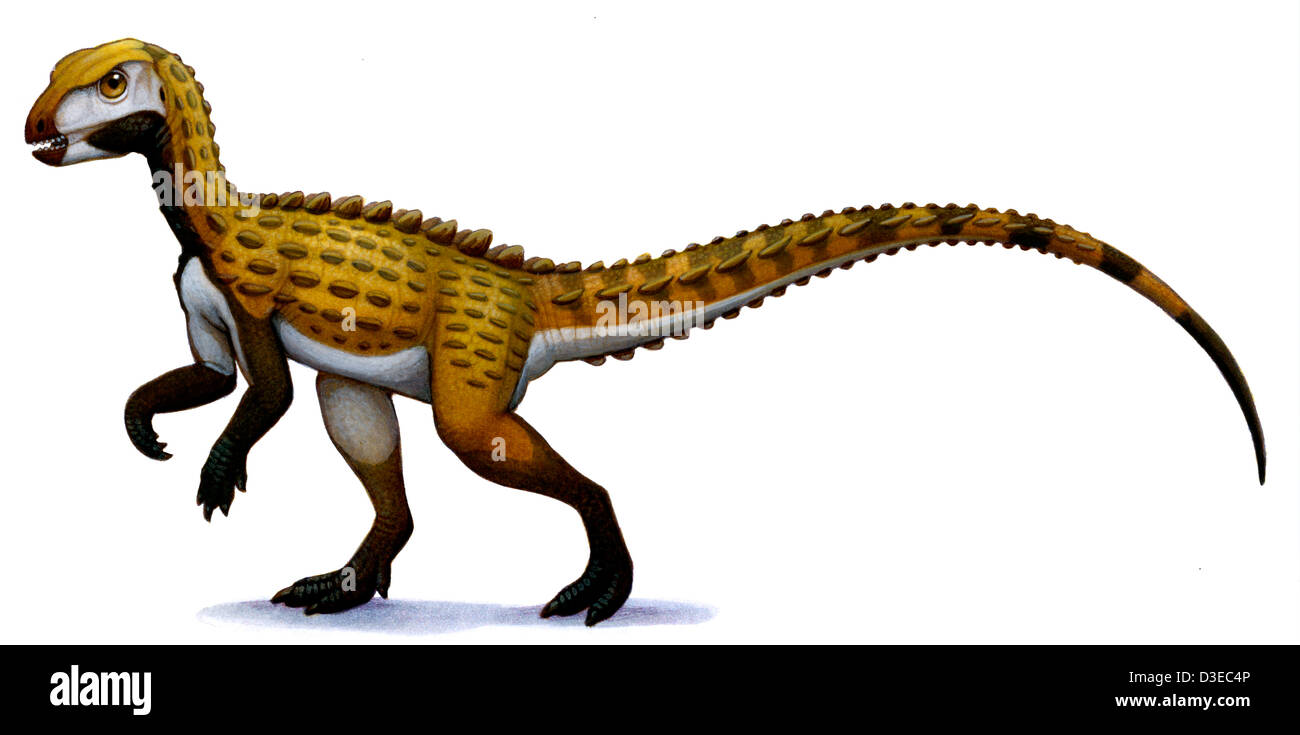 Scutellosaurus, an early Jurassic herbivore Stock Photo - Alamy