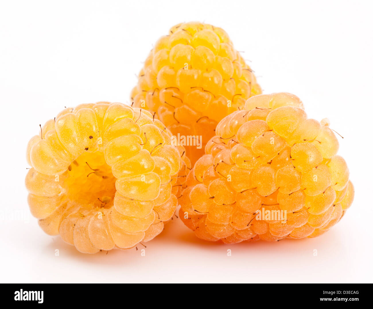 Yellow raspberry on bush hi-res stock photography and images - Alamy