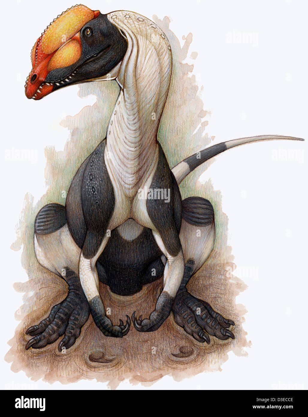 A Dilophosaurus dinosaur of the Jurassic Period, leaves a print of his ...