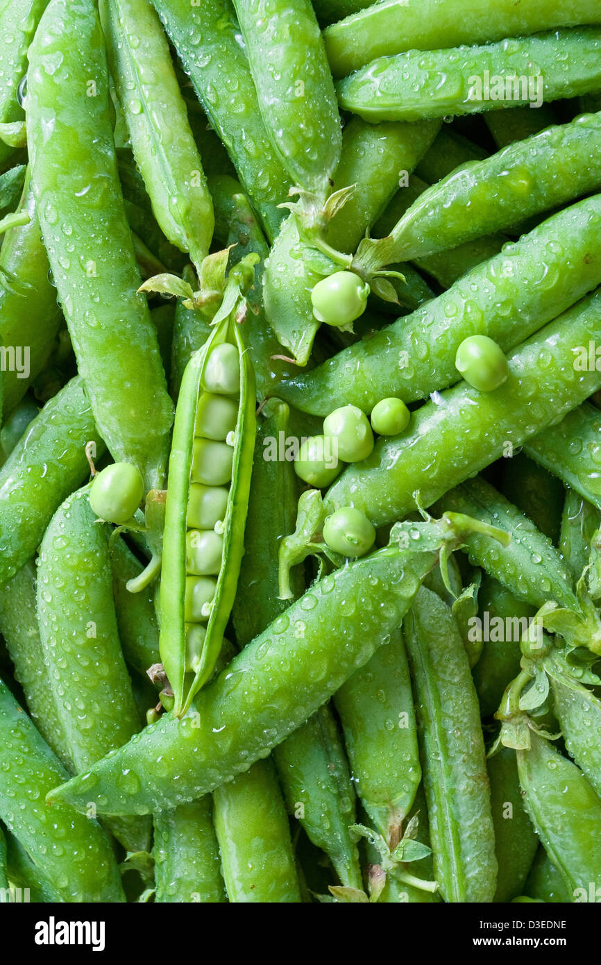 Fresh washed hi-res stock photography and images - Alamy