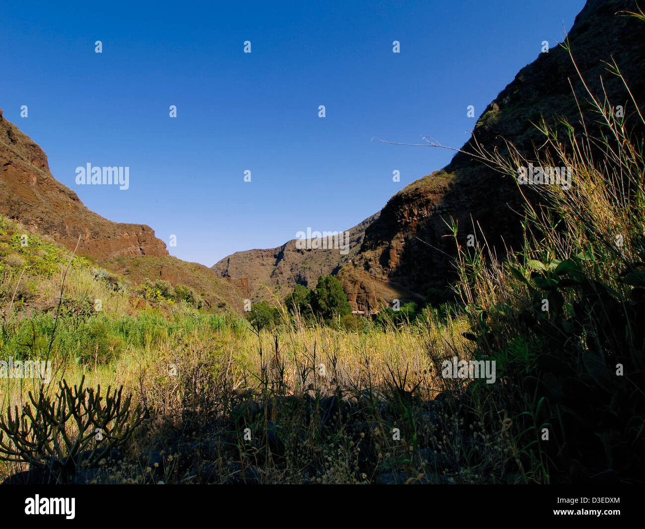 Barranco de Guayadeque, Gully on Gran Canaria, Canary Islands, Spain ...