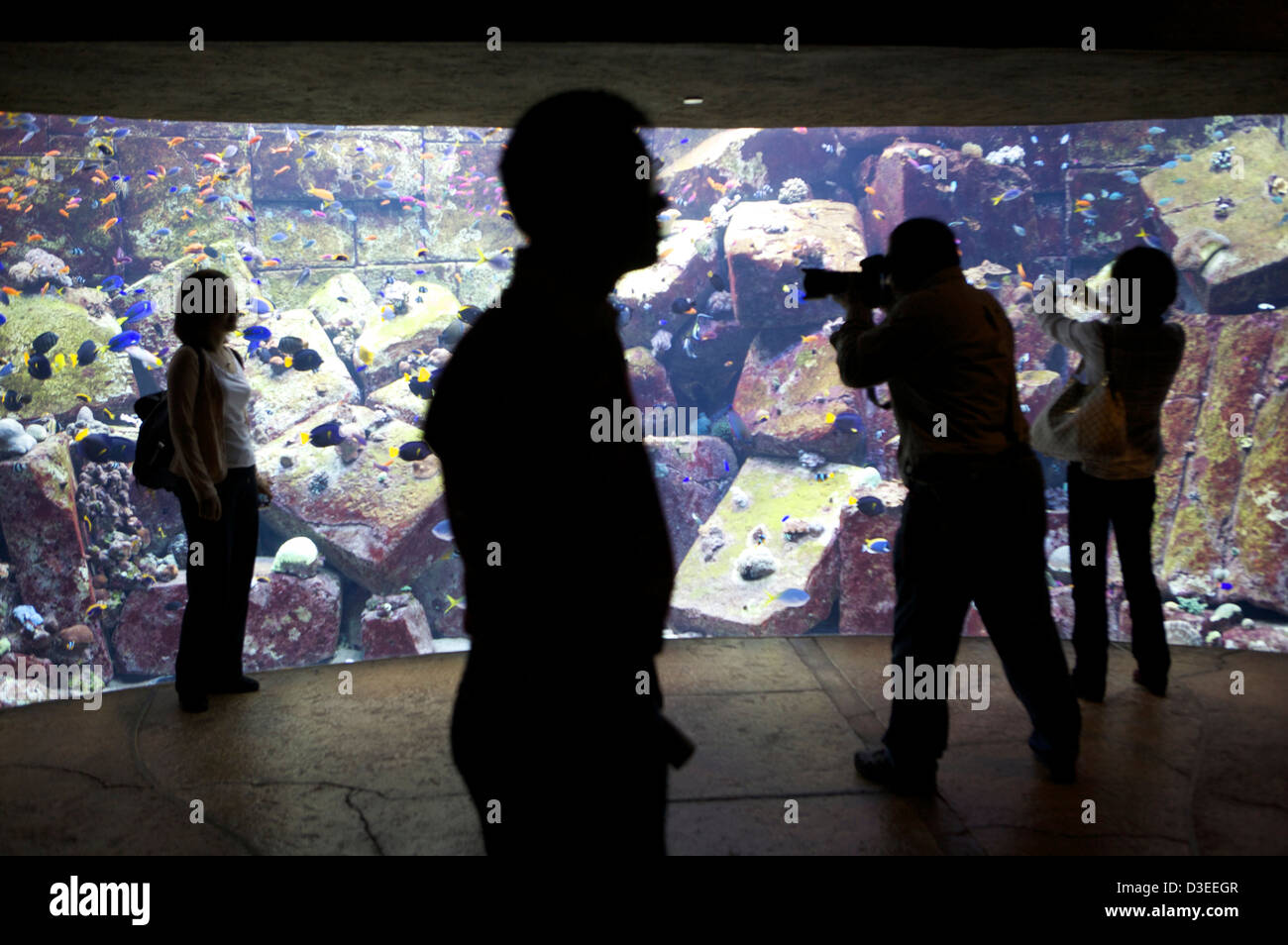 Atlantis the palm aquarium hi-res stock photography and images - Alamy