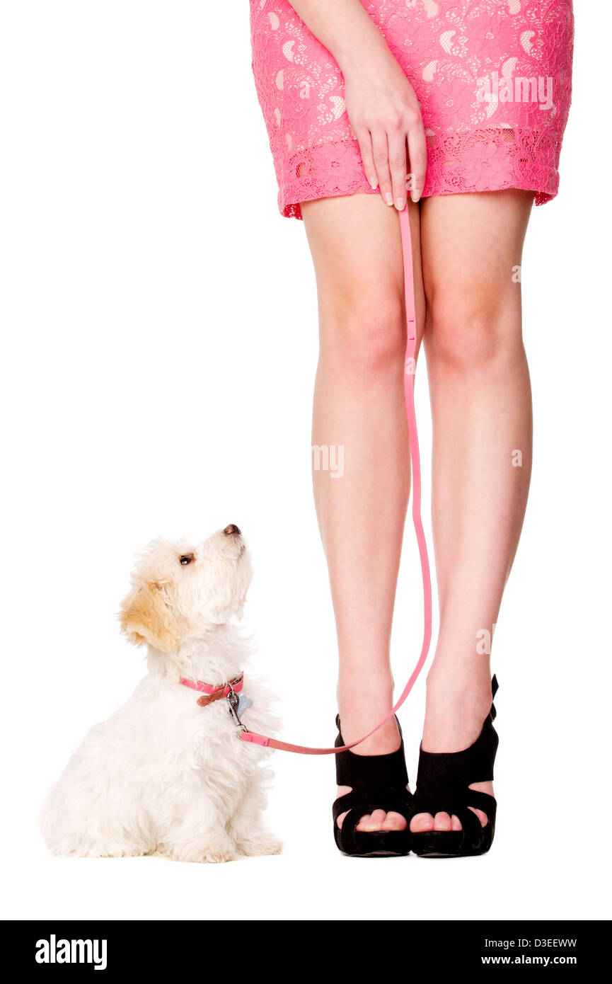 Small white puppy sat next to a woman's legs looking up at her Stock ...