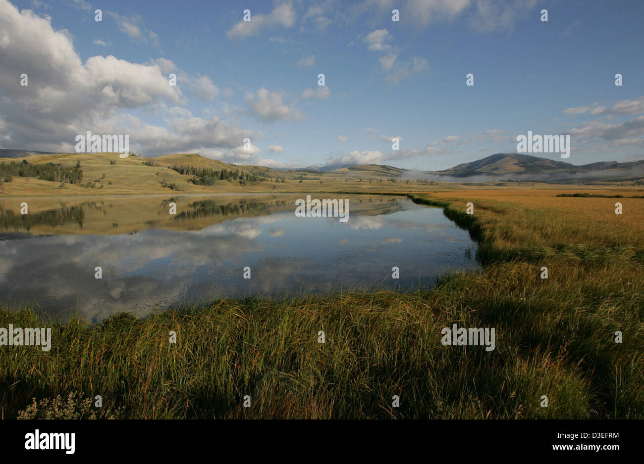 Swan Lake in Yellowstone National Park is a serene, protected water ...