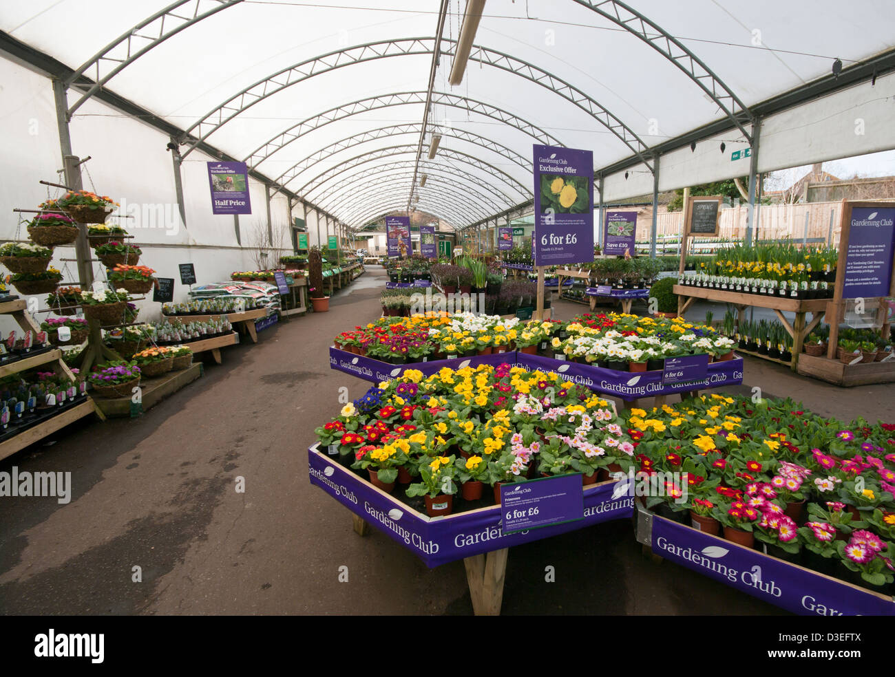 Inside Of A Garden Centre Interior Stock Photo - Alamy