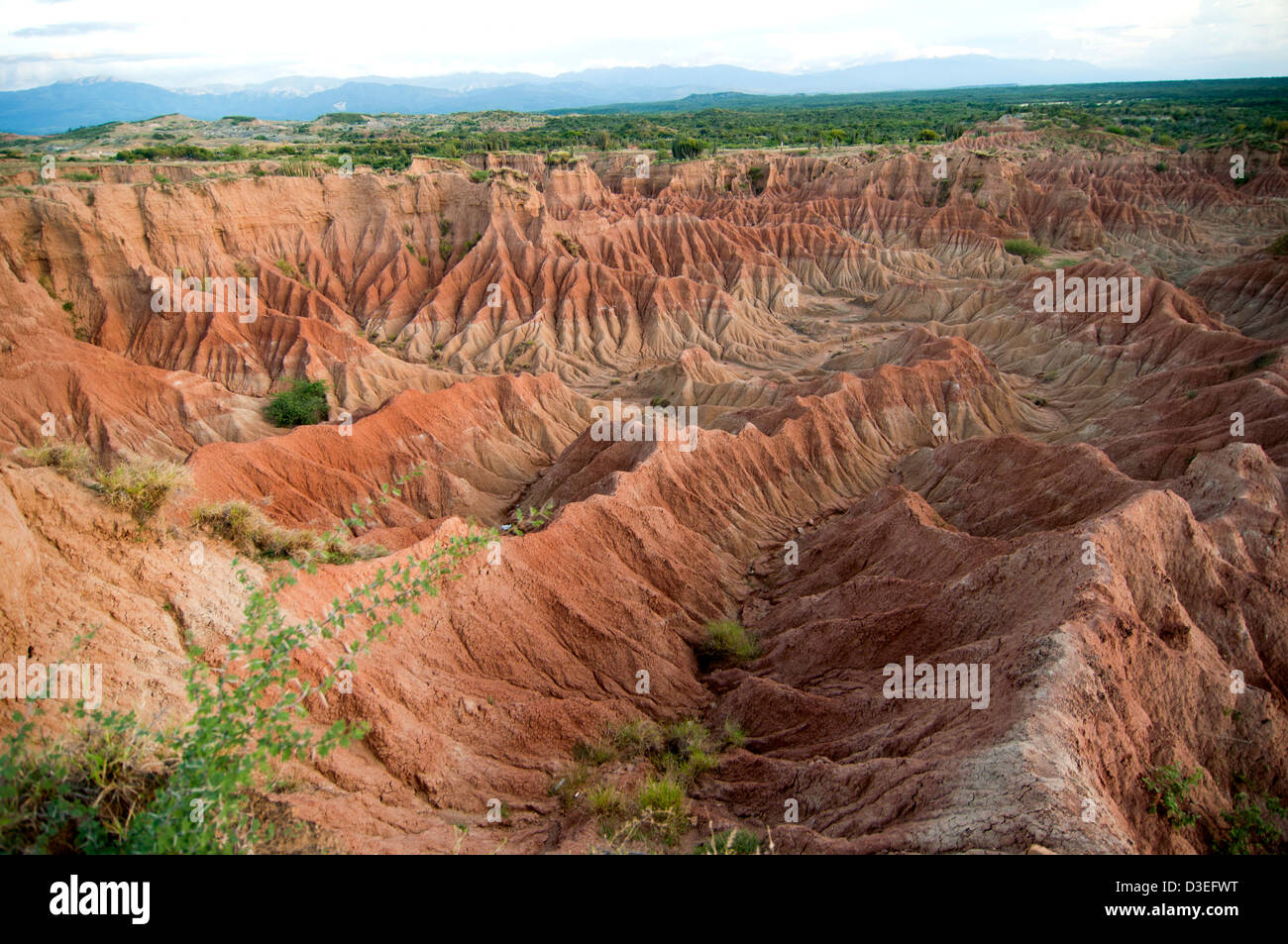Tatacoa hi-res stock photography and images - Alamy
