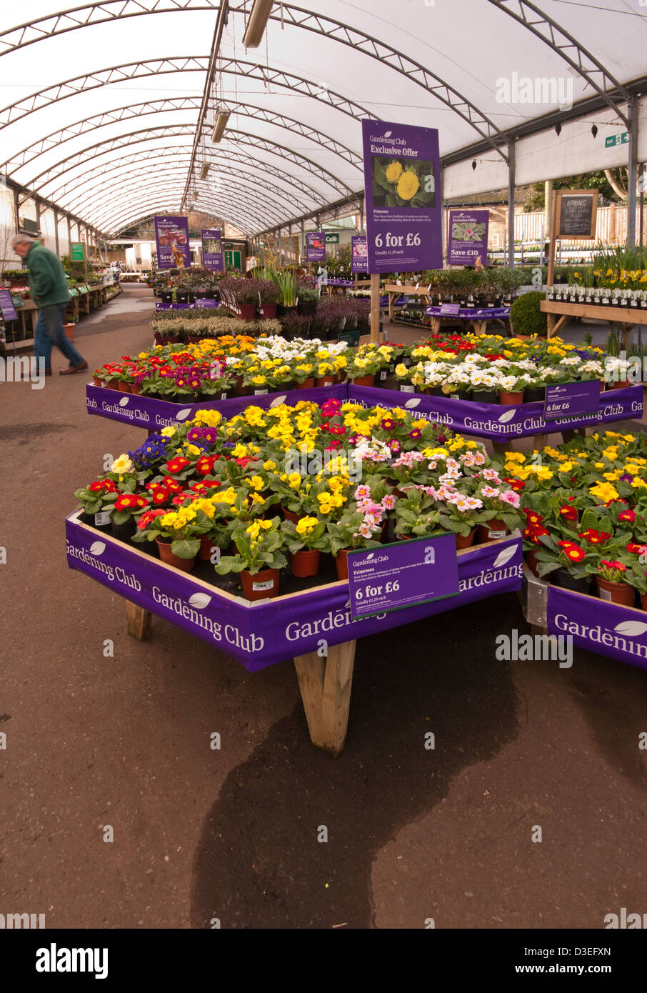 Inside Of A Garden Centre Interior Stock Photo - Alamy