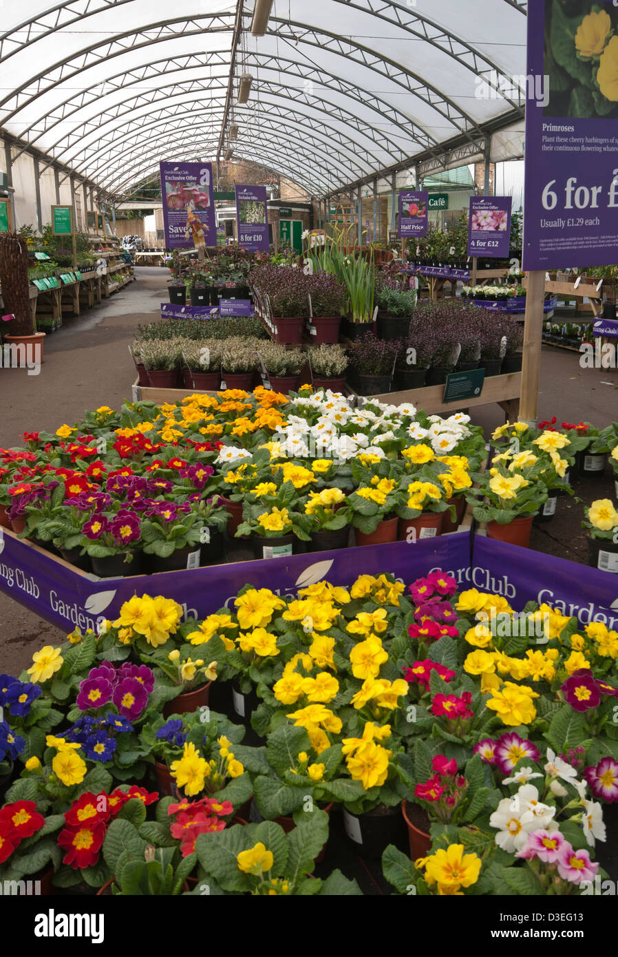 Inside Of A Garden Centre Interior Stock Photo - Alamy
