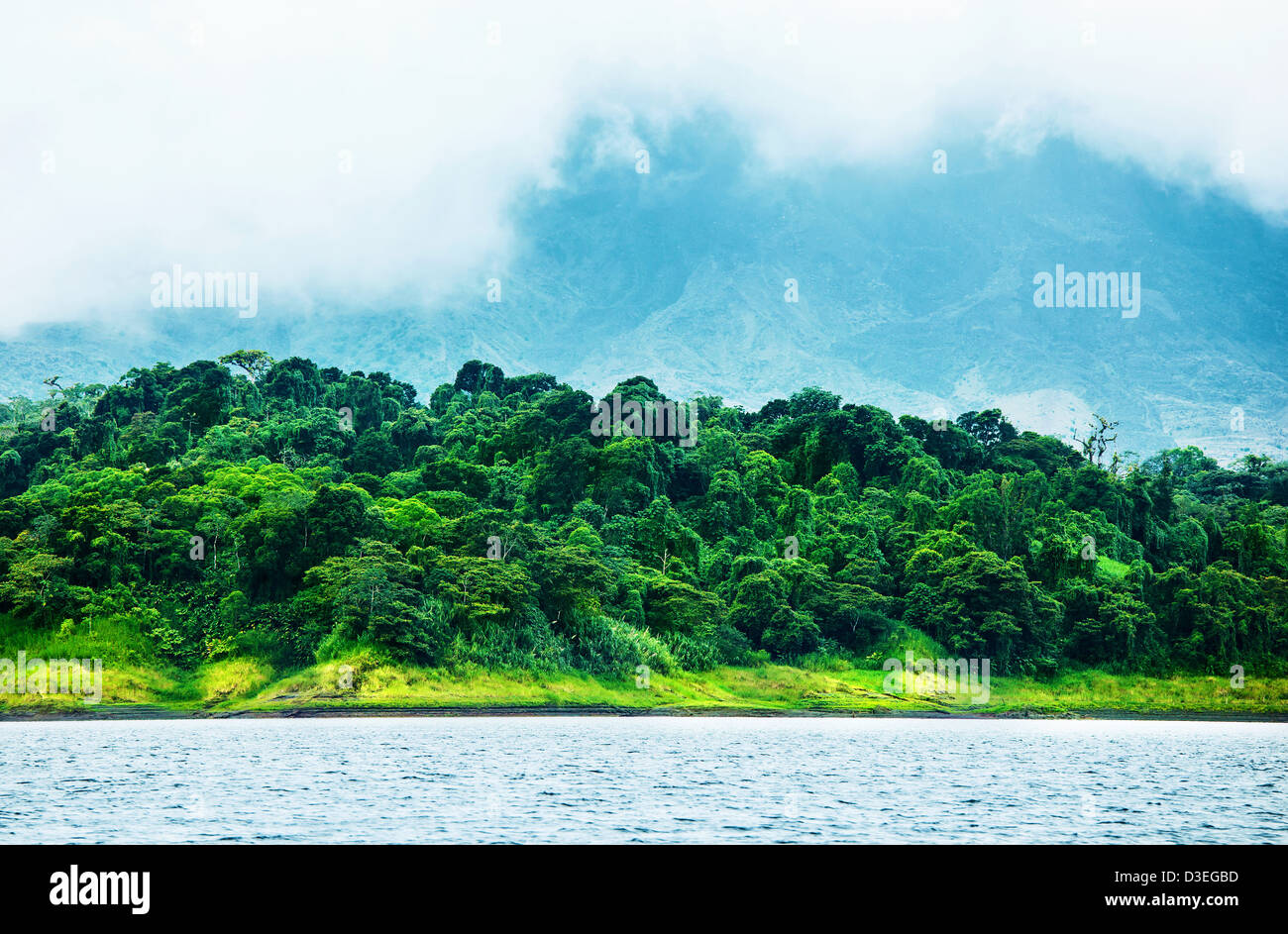 Image of Costa Rica, nature of Central America, fog in the mountains ...