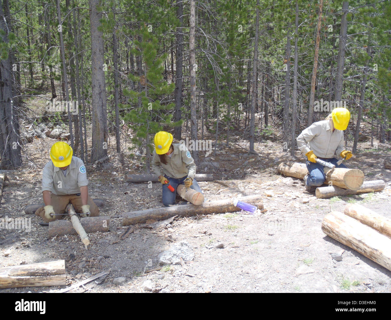 Image showcases teamwork hands hi-res stock photography and images - Alamy