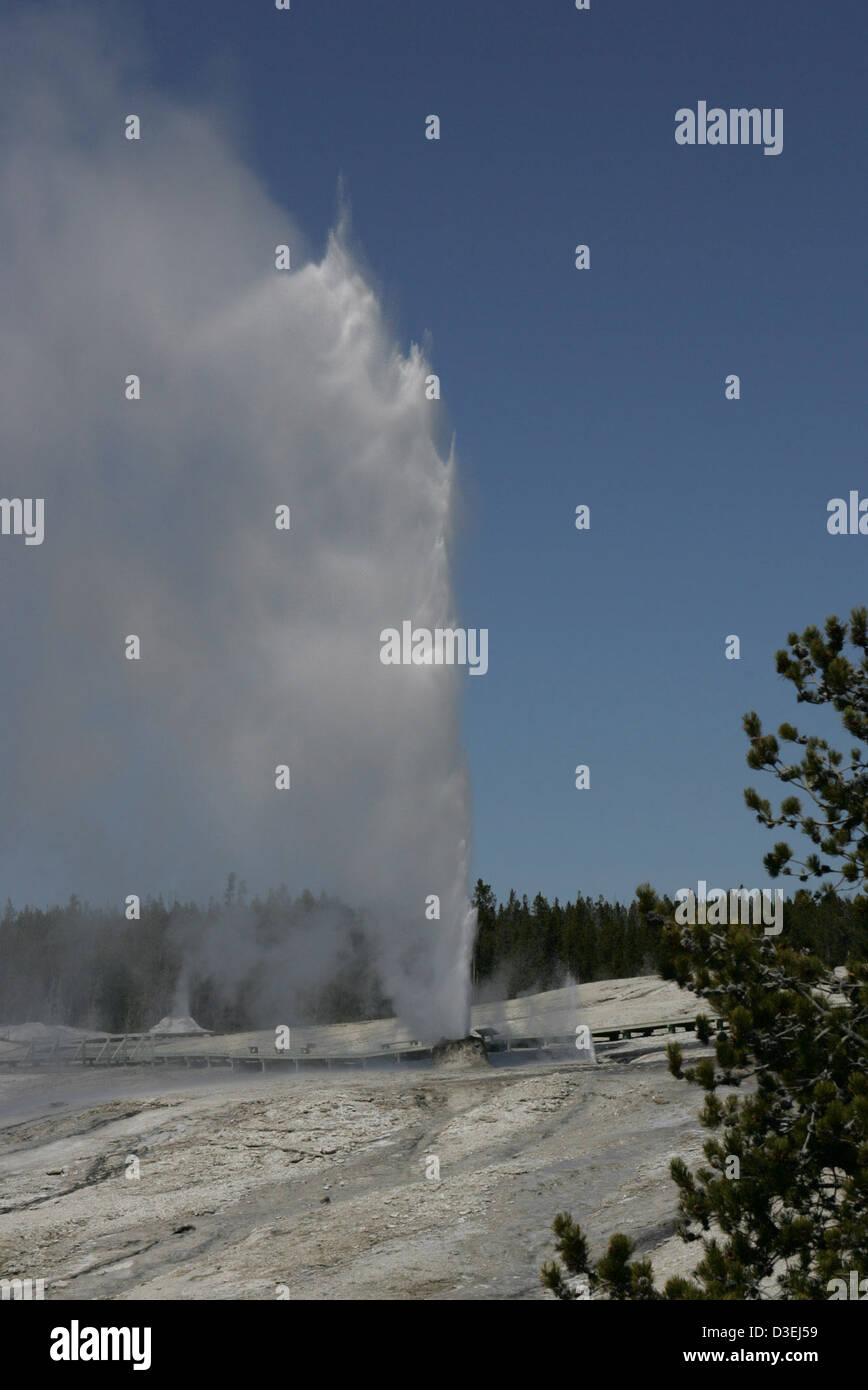 Beehive Geyser, located in Yellowstone National Park, is one of the ...