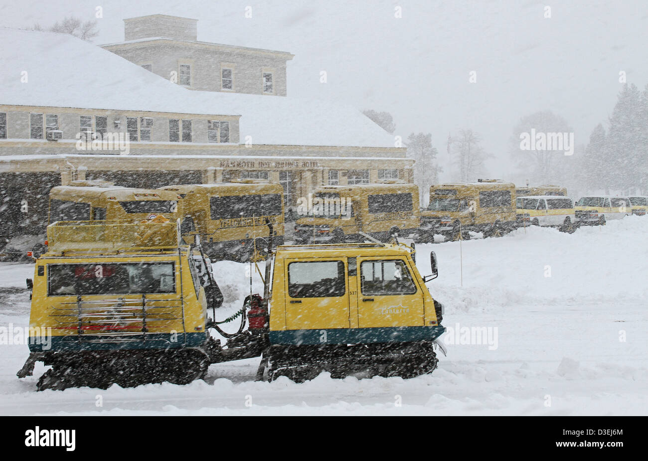 Snowcoaches in Yellowstone National Park provide access to the park's ...