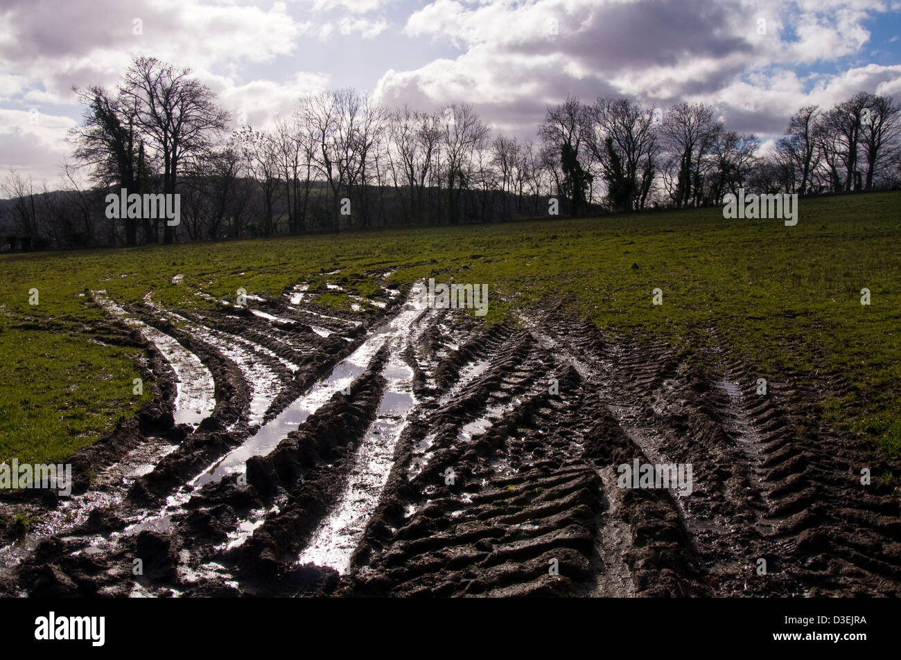Tractor tracks in a muddy field Stock Photo - Alamy