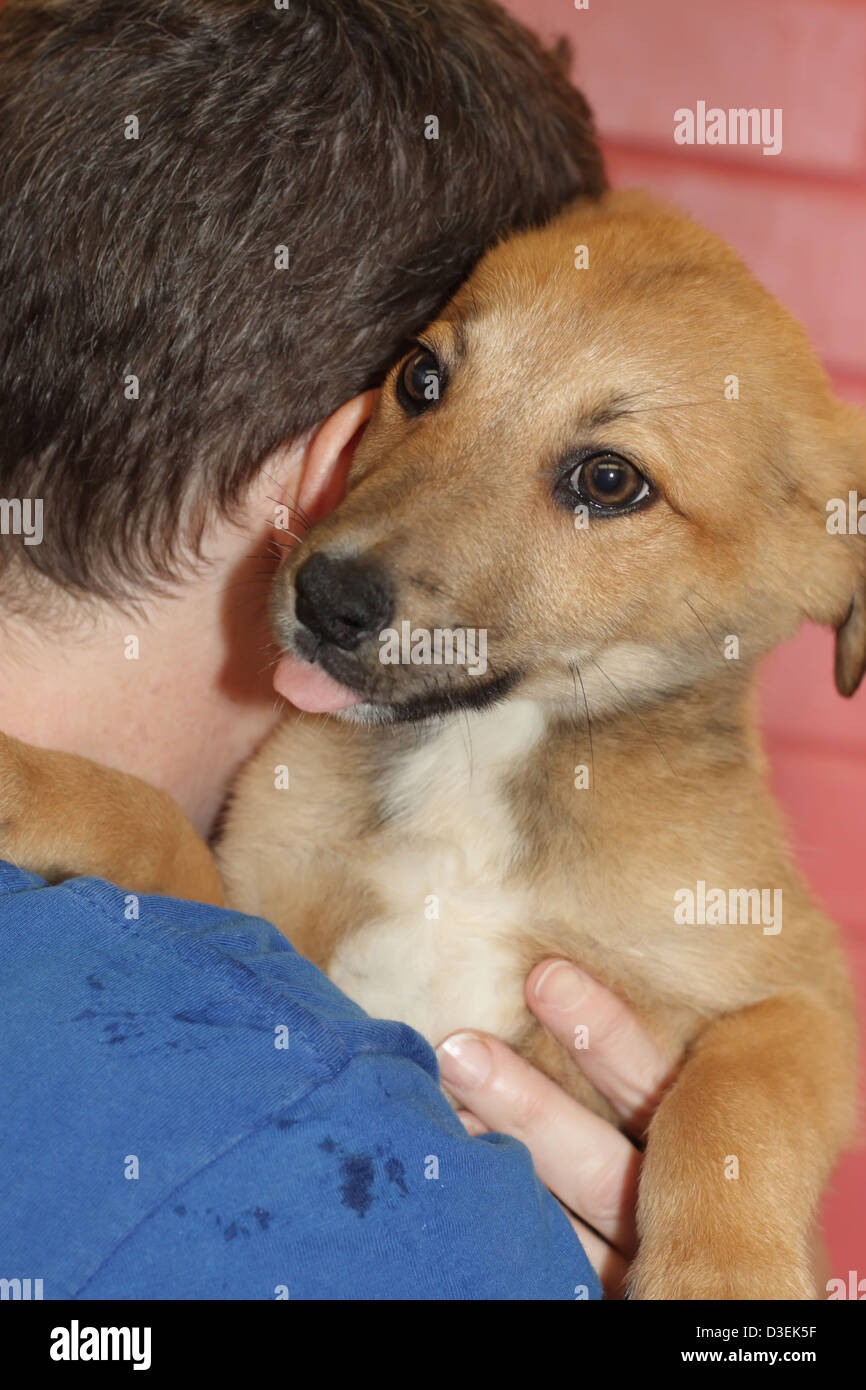 Cute Puppy Held over the Shoulder Stock Photo - Alamy